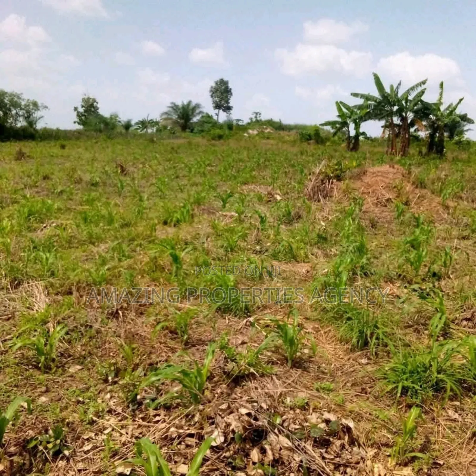 11 Acres of Prime Area Main Roadside Land for Sale at Tema Motorway in ...