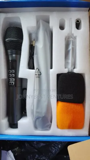 Professional Universal Wireless Microphone Chargeable Microphone in ...