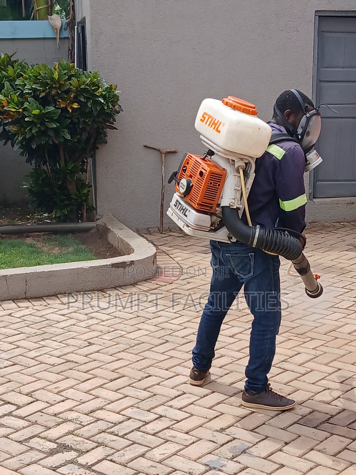 Bedbugs Fumigation In Ga East Municipal Cleaning Services Prumpt