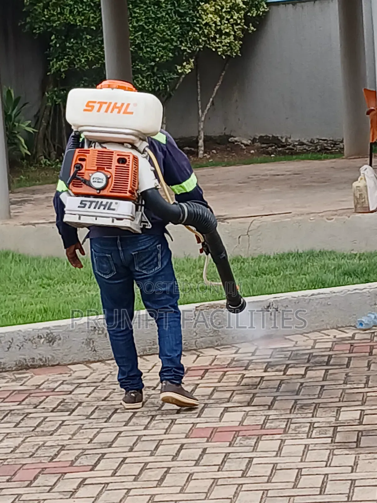 Bedbugs Fumigation In Ga East Municipal Cleaning Services Prumpt