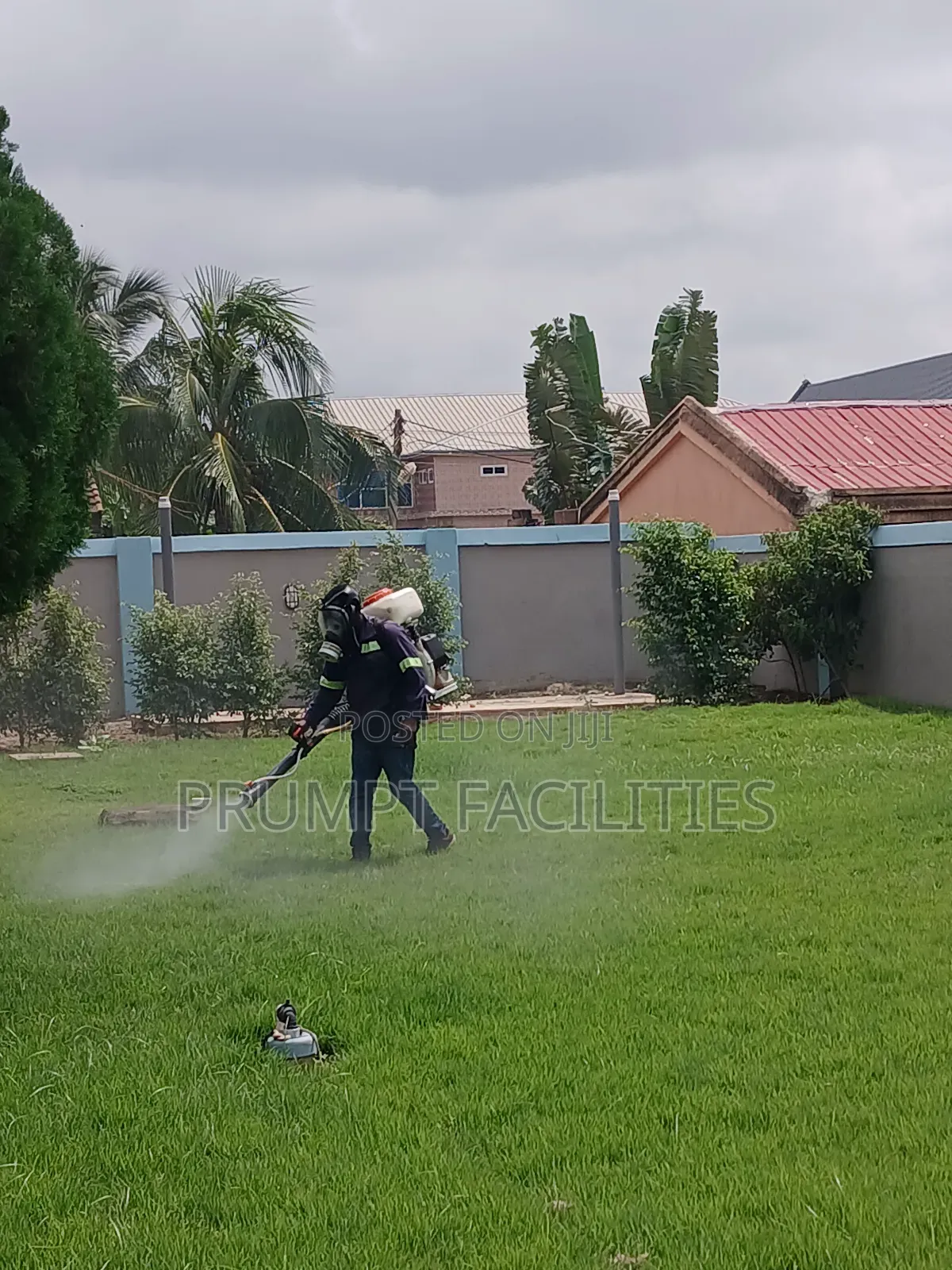 Bedbugs Fumigation In Ga East Municipal Cleaning Services Prumpt