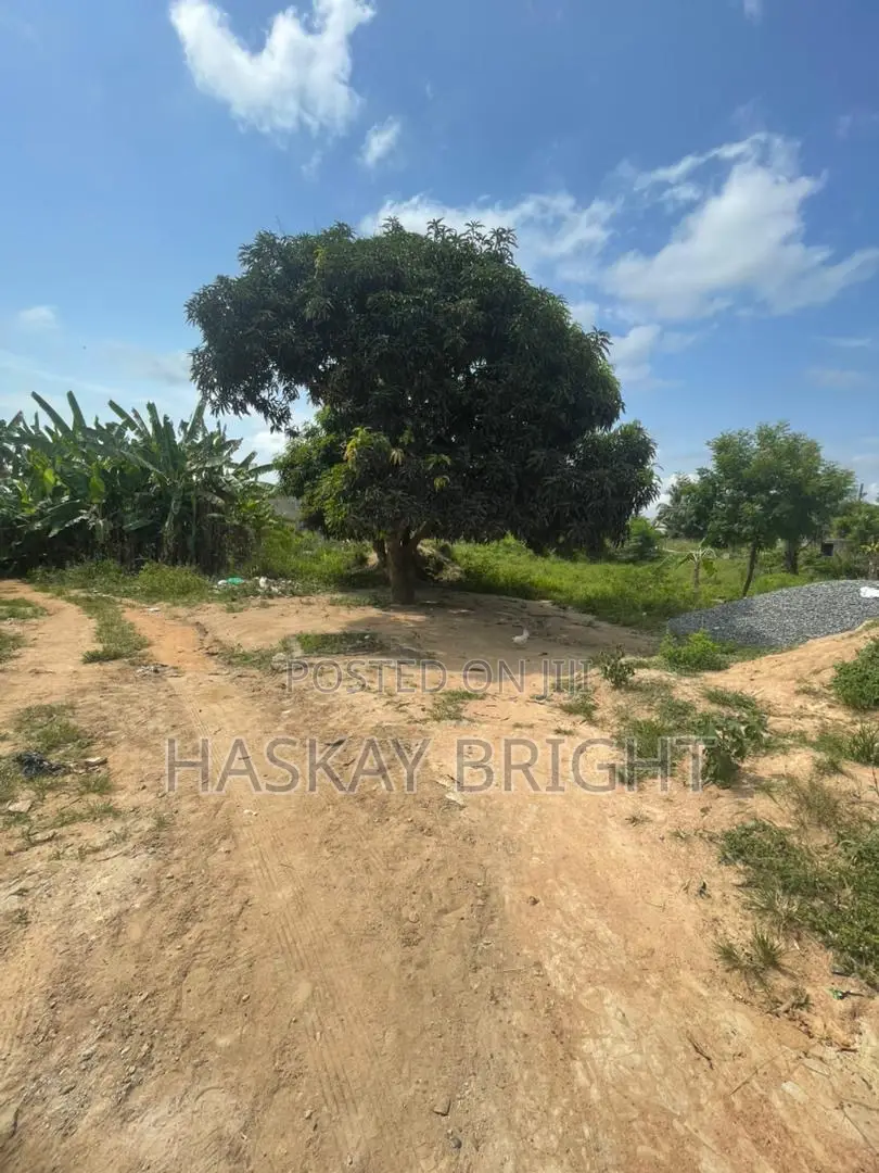 A 100 by 70ft Plot of Land for Sale at Ashalaja Commander in Amasaman ...