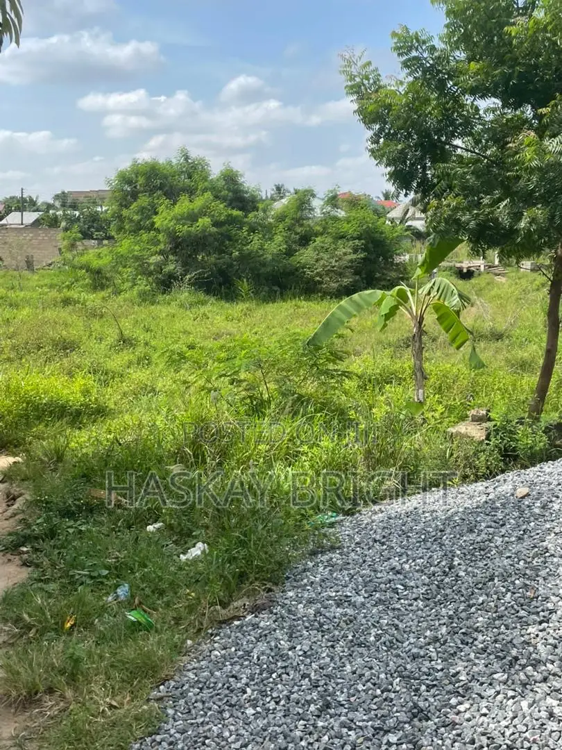 A 100 by 70ft Plot of Land for Sale at Ashalaja Commander in Amasaman ...