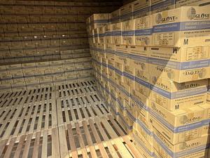 Mediglove Latex Examination Gloves (Glade a Quality) at Wholesale Price ...