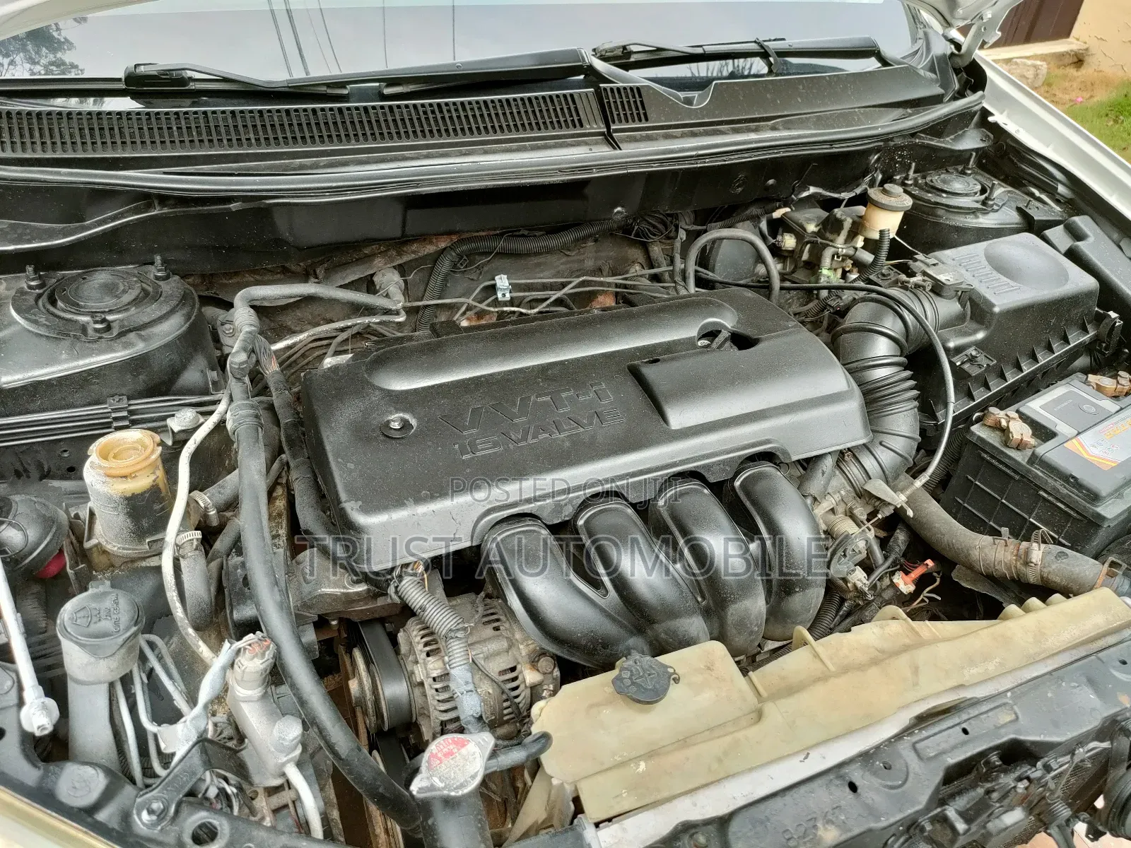 Toyota Matrix Hatchback FWD (1.8L 4cyl 5M) 2008 White in McCarthy Hill ...