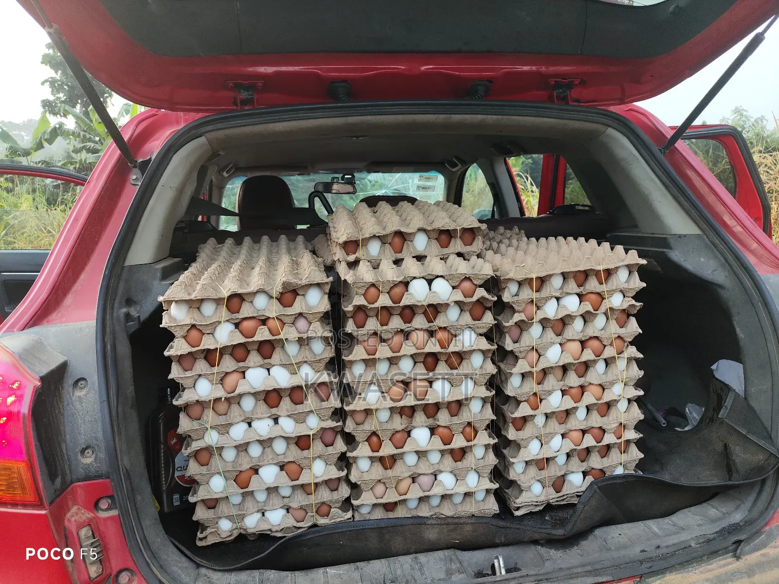 Farm Fresh Eggs in Ga West Municipal - Food & Beverages, Kofi Kay ...