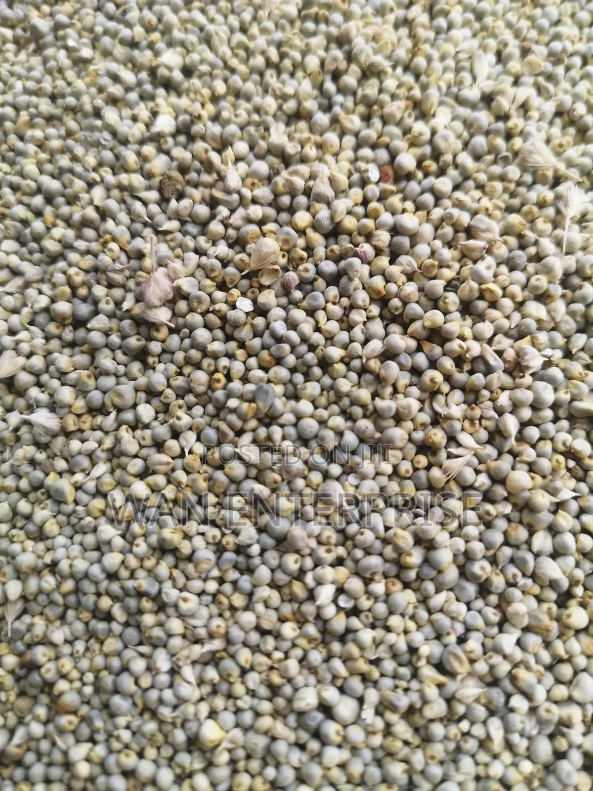 Millet Olonka Soya Beans and More (Big Sack Also Available) in Nima ...