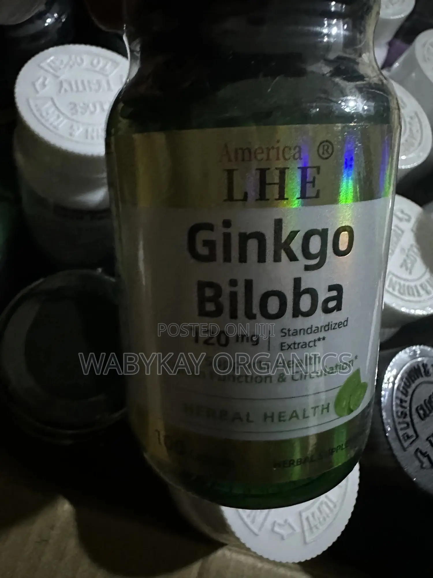 Ginkgo Biloba in Adenta - Vitamins & Supplements, Khalida Sadique ...