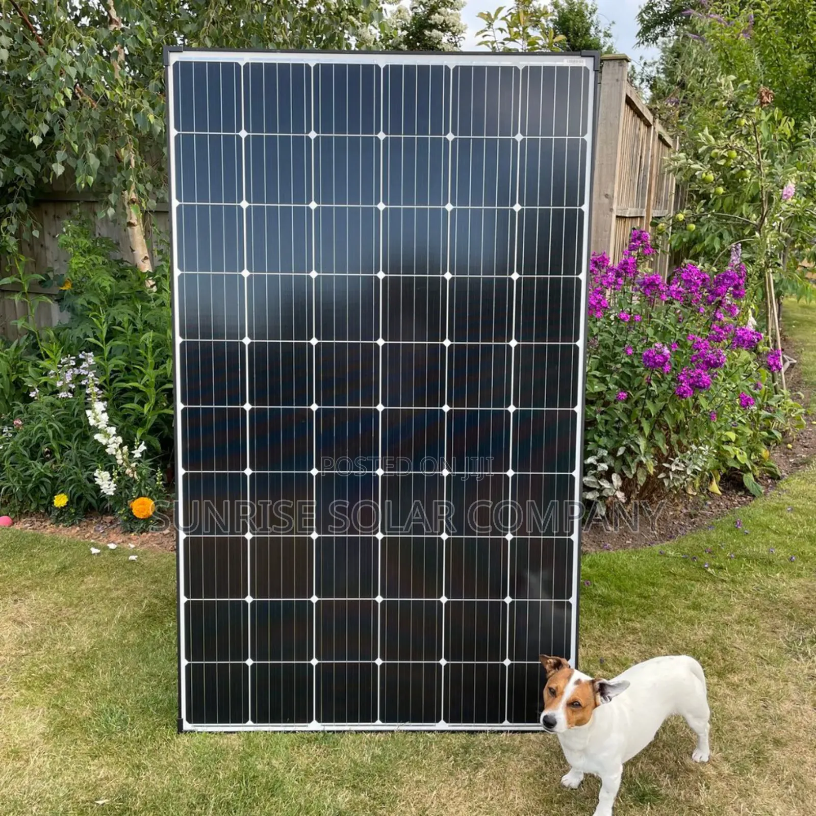 Solar Panel 330w 36v Promotion in Tema Metropolitan - Electrical ...