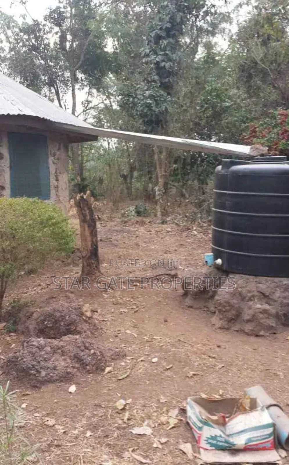 20 Acres Cashew Mango Farm for Sale in Sunyani Municipal - Commercial ...