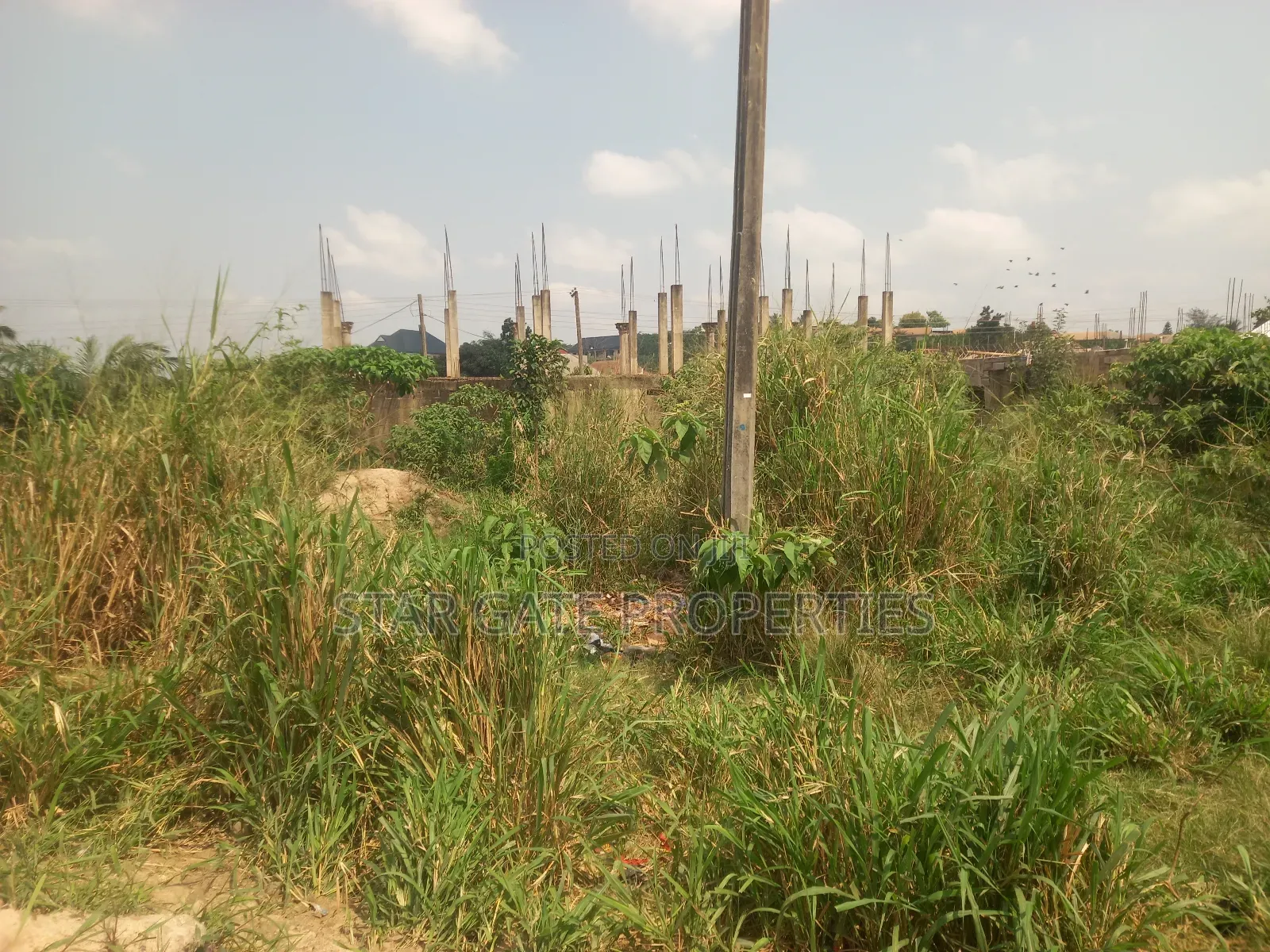 Plot For Sale At Kenyasi Adwumam ( 2nd Plot Main Road) in Kumasi ...