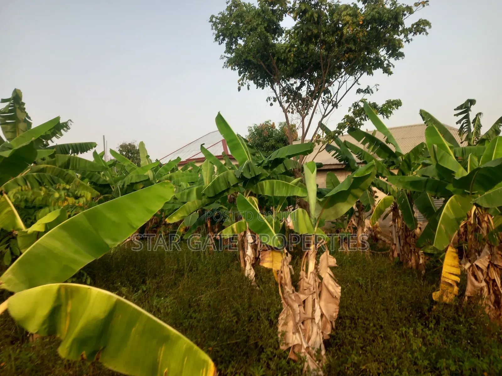 Plot For Sale At Kenyasi Adwumam for sale - Star Gate Properties Price ...