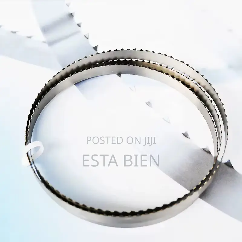 Bone Saw Cutting Machine Blade in Tema Metropolitan - Restaurant ...