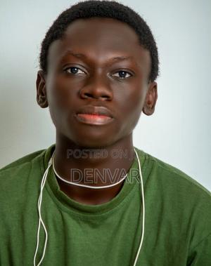 Technology Support Facilitator in Asuogyaman - Computing & IT CVs ...