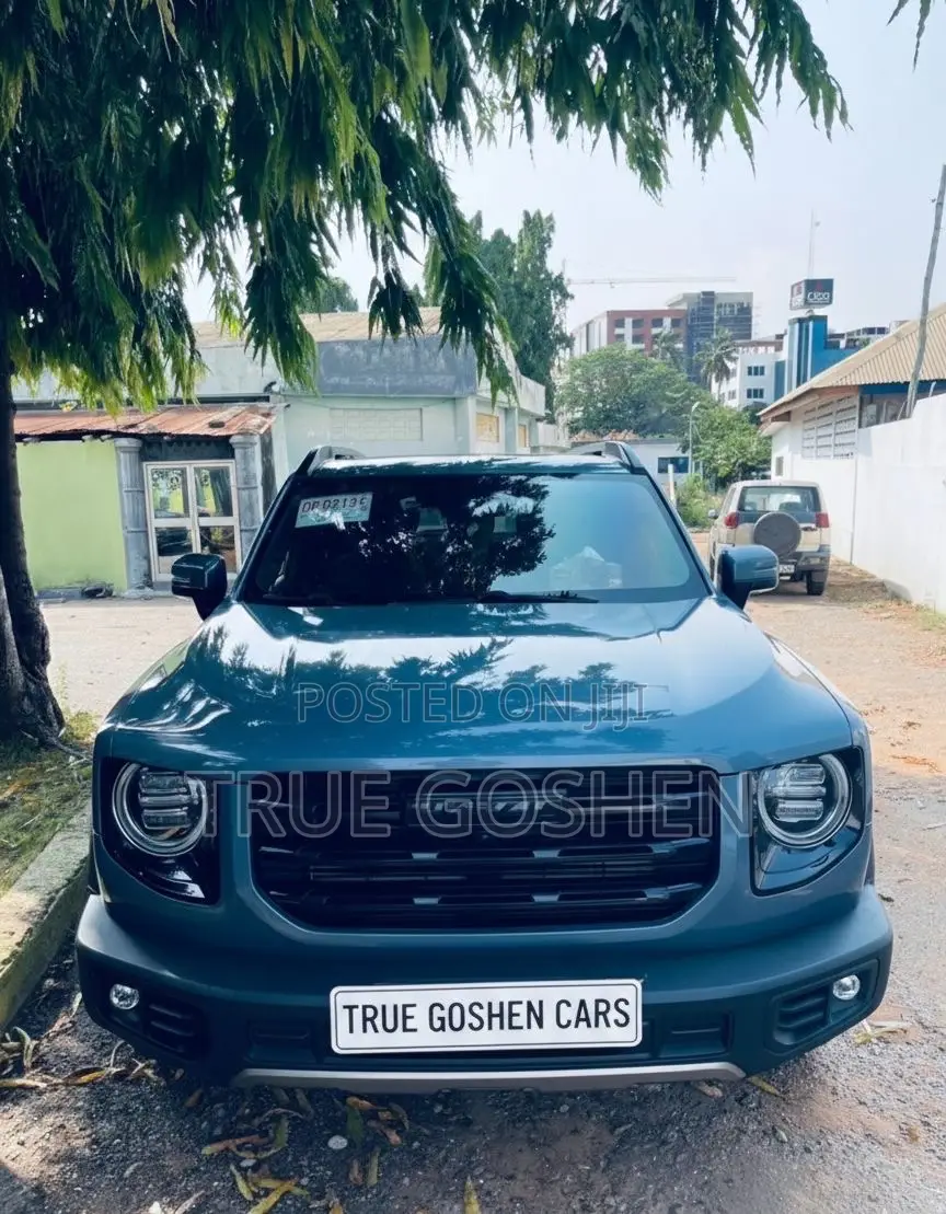 Haval Big Dog 2022 Blue in Accra Metropolitan - Cars, True Goshen ...