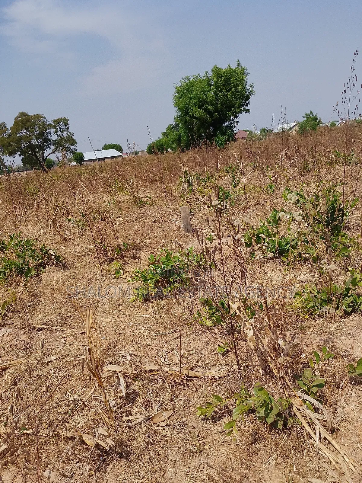 Some Nice Plots At Gbalahi Area For Sale in Tamale Municipal - Land ...