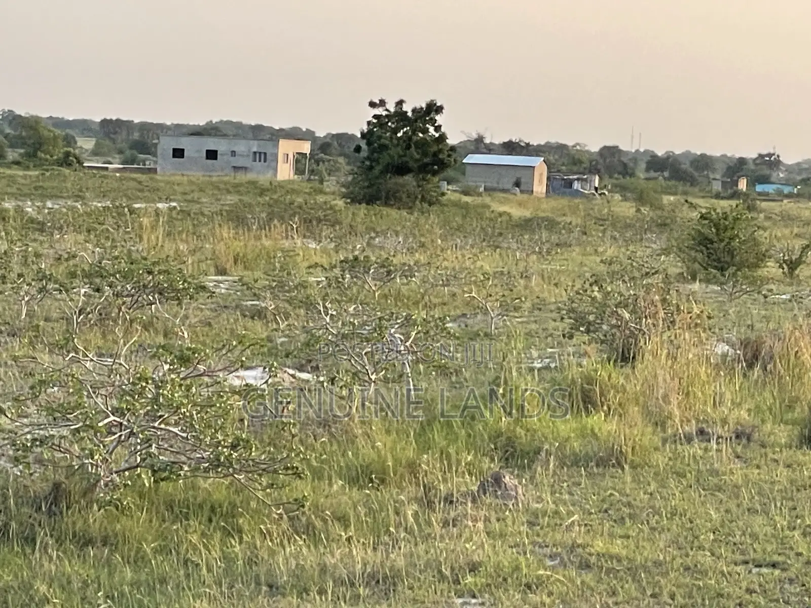 Estate Land for Sale in Tsopoli New Airport in Accra Metropolitan ...