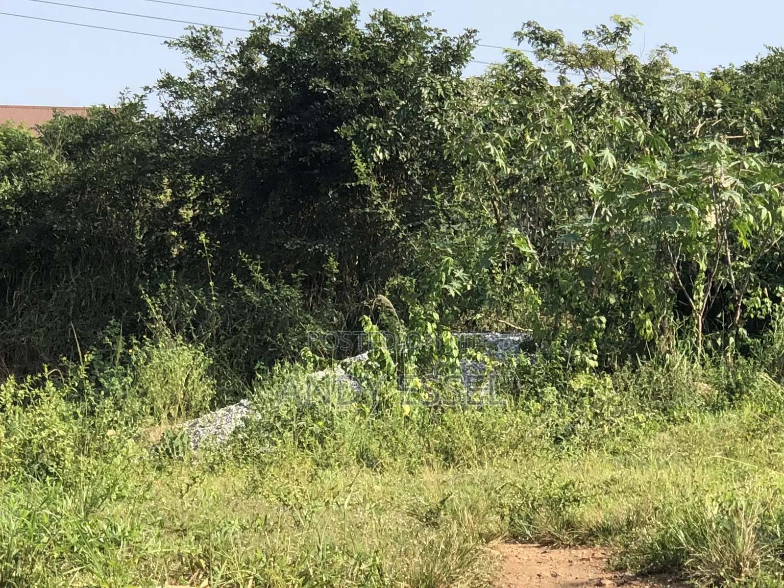 Half Plot of Land for Sale in Gomoa East - Land & Plots for Sale, Andy ...