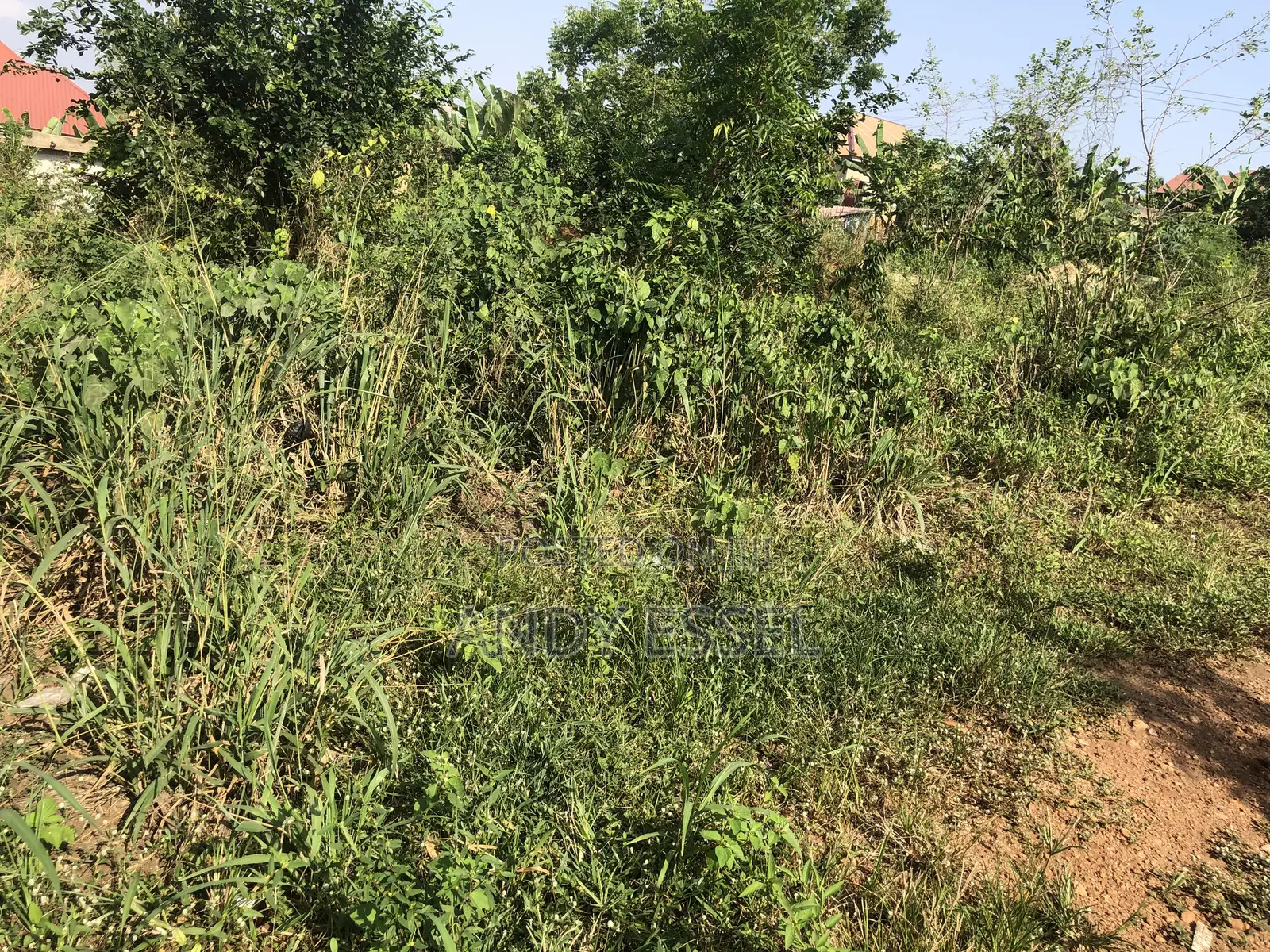 Half Plot of Land for Sale in Gomoa East - Land & Plots for Sale, Andy ...