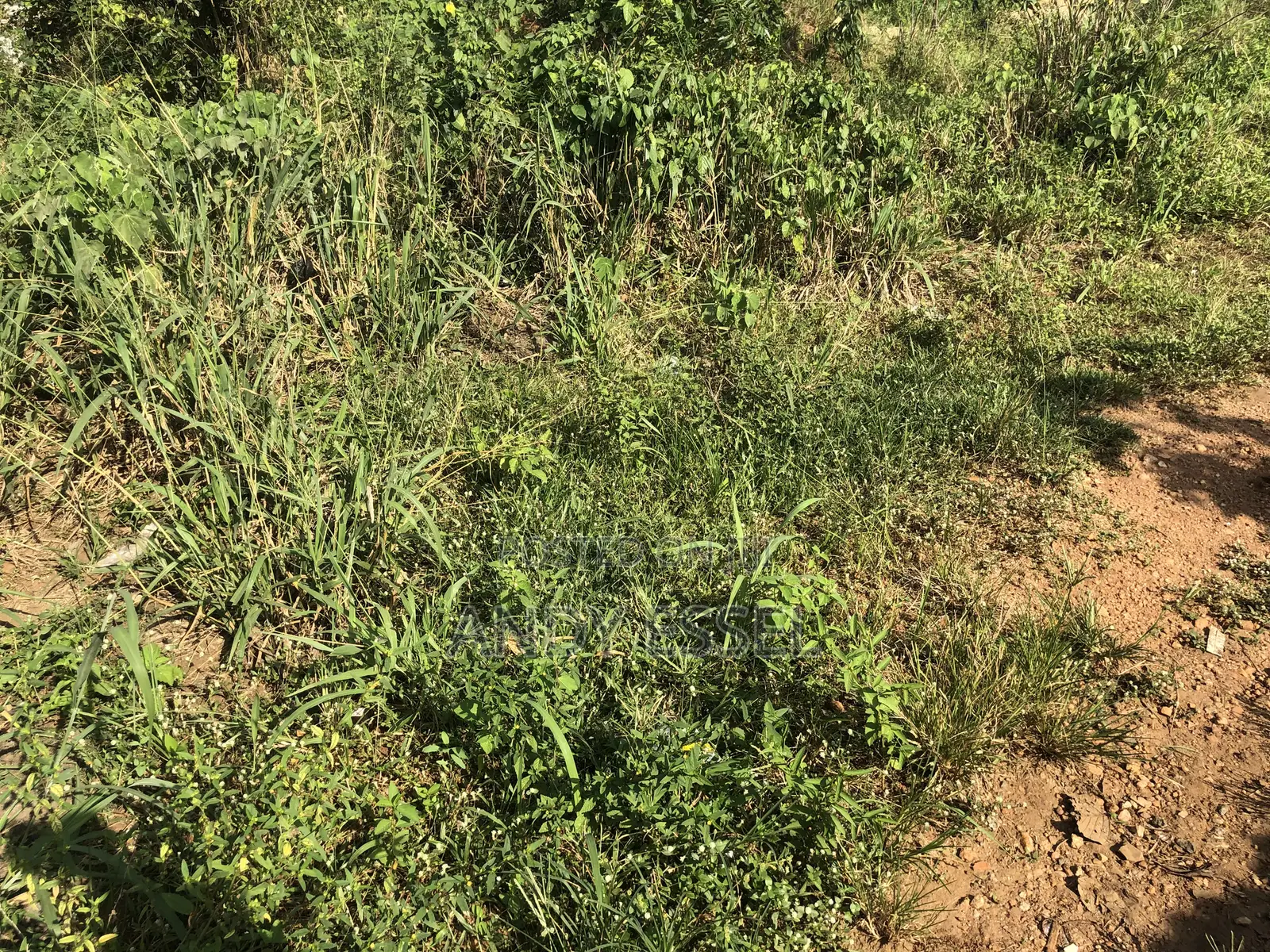 Half Plot of Land for Sale in Gomoa East - Land & Plots for Sale, Andy ...