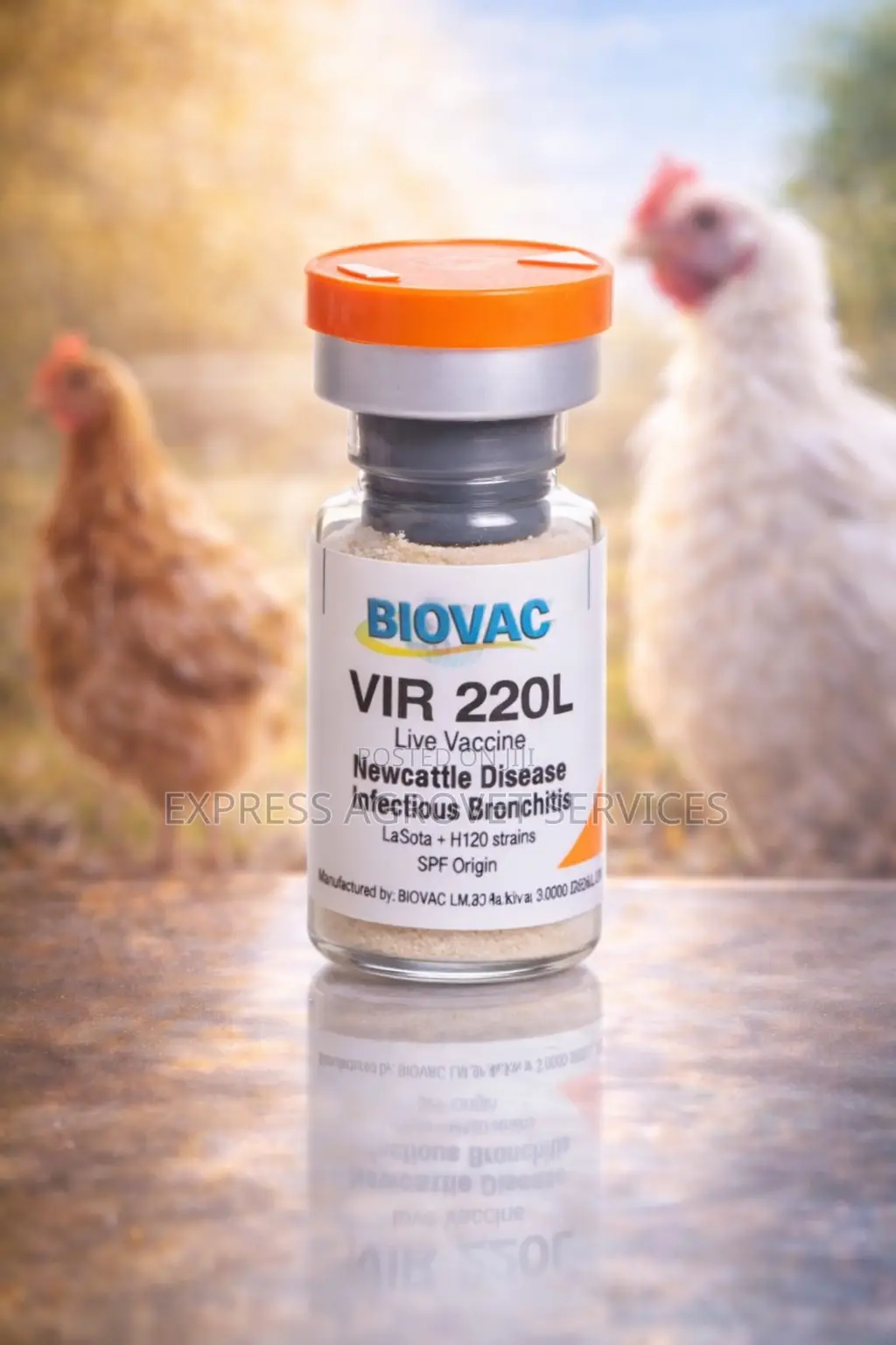 Newcastle Disease Infectious Bronchitis Nd+Ib (Wholesale) in Akweteyman ...