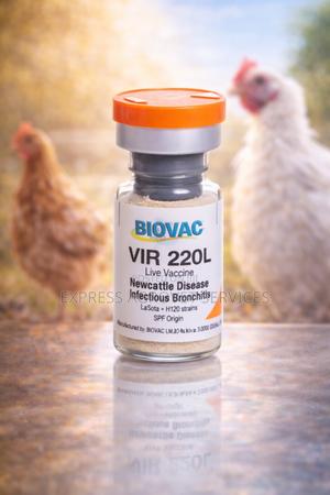 Newcastle Disease Infectious Bronchitis Nd+Ib (Wholesale) in Akweteyman ...