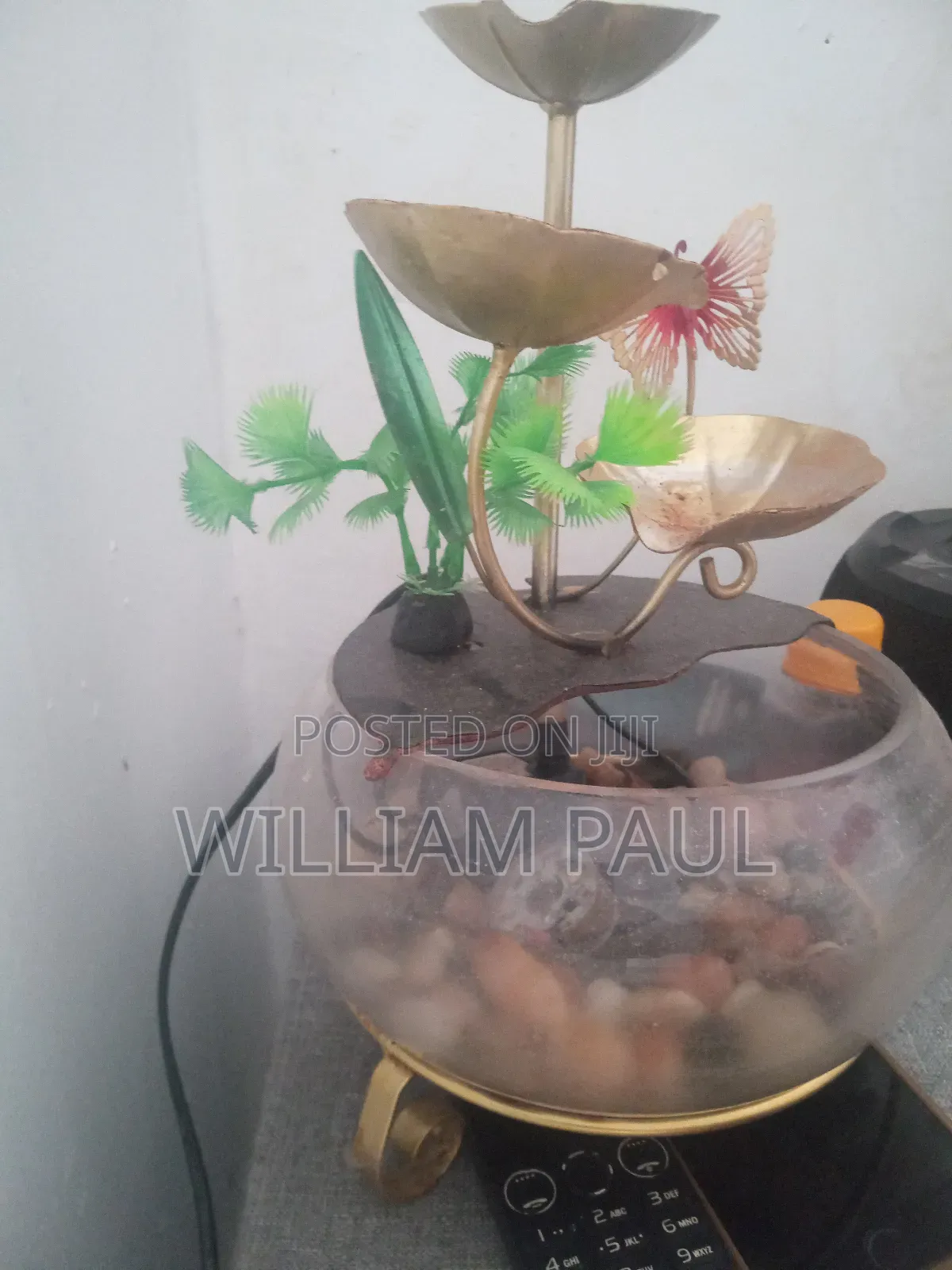 Clean Aquarium. in Kasoa - Fish, William Paul | Jiji.com.gh