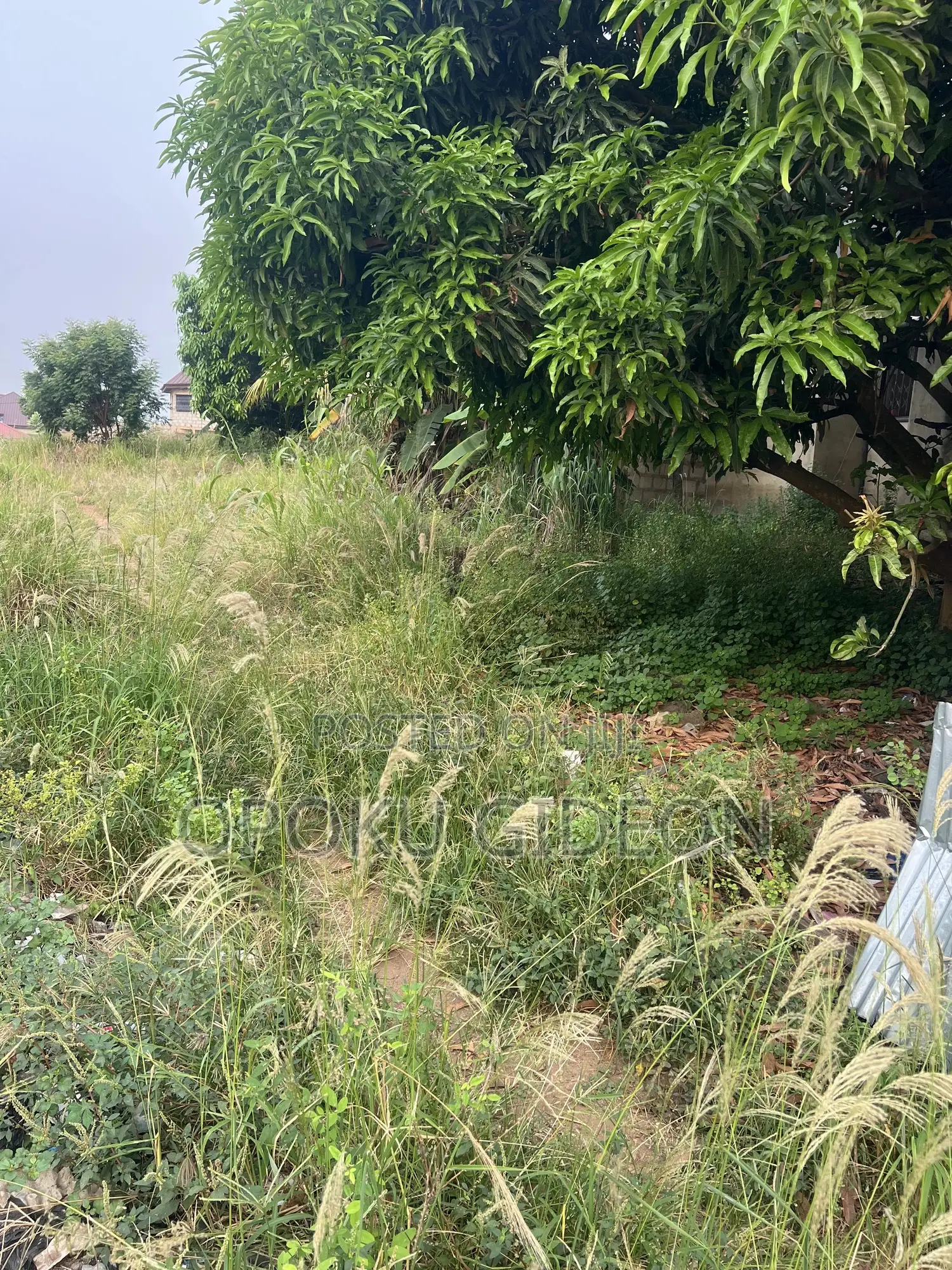 2 Plots of Land for Sale in Manhean - Land & Plots for Sale, Opoku ...