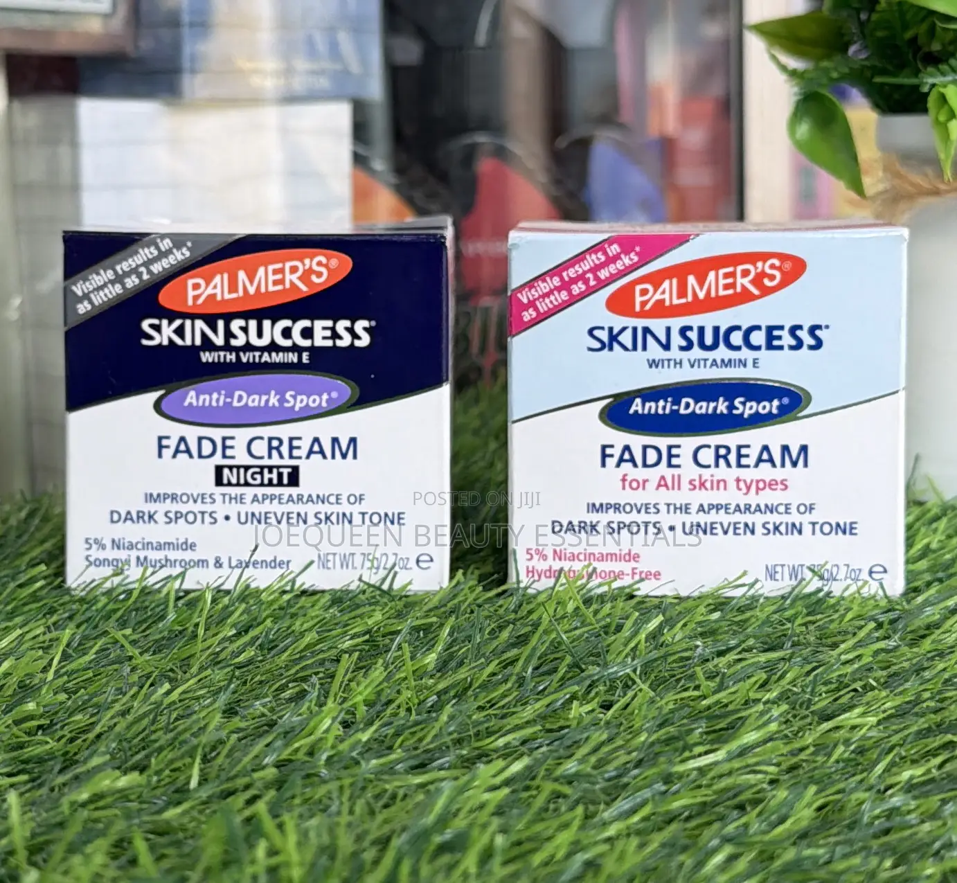 Skin Success Day And Night Fade Cream in Ga West Municipal - Face Care ...