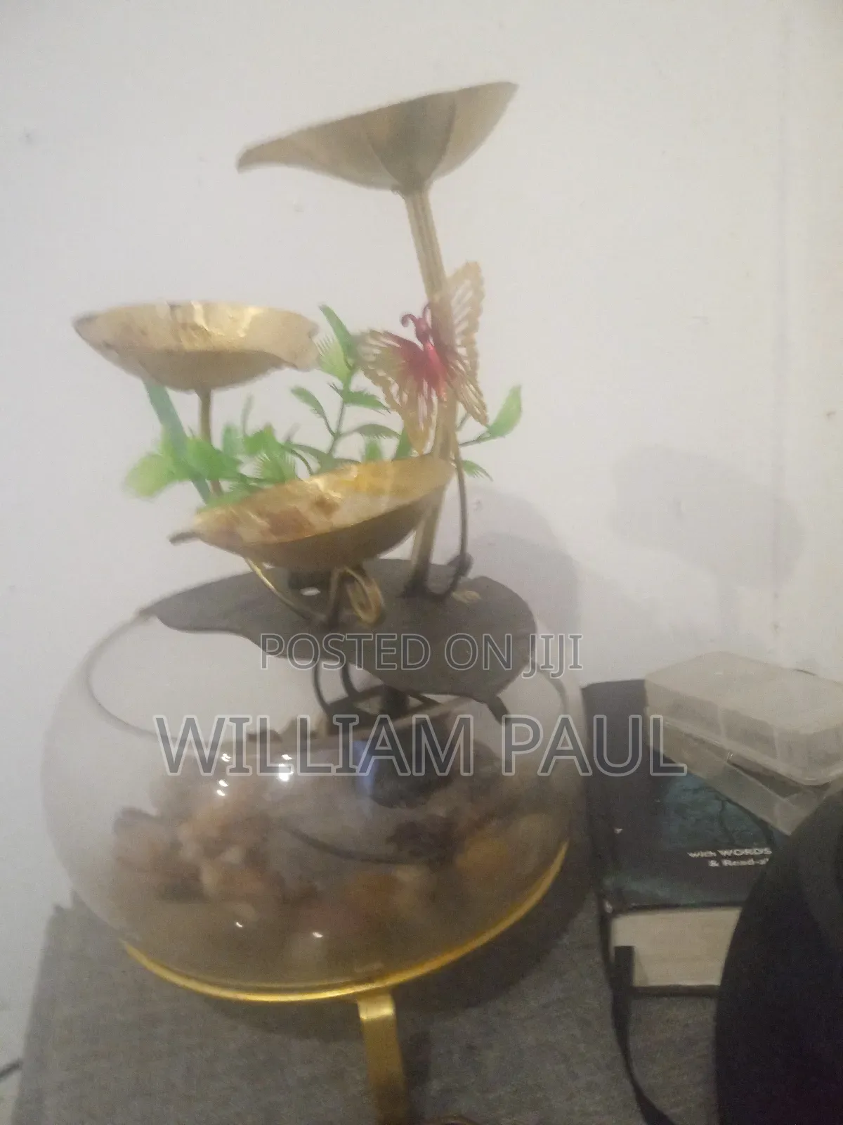 Clean Aquarium. in Kasoa - Fish, William Paul | Jiji.com.gh