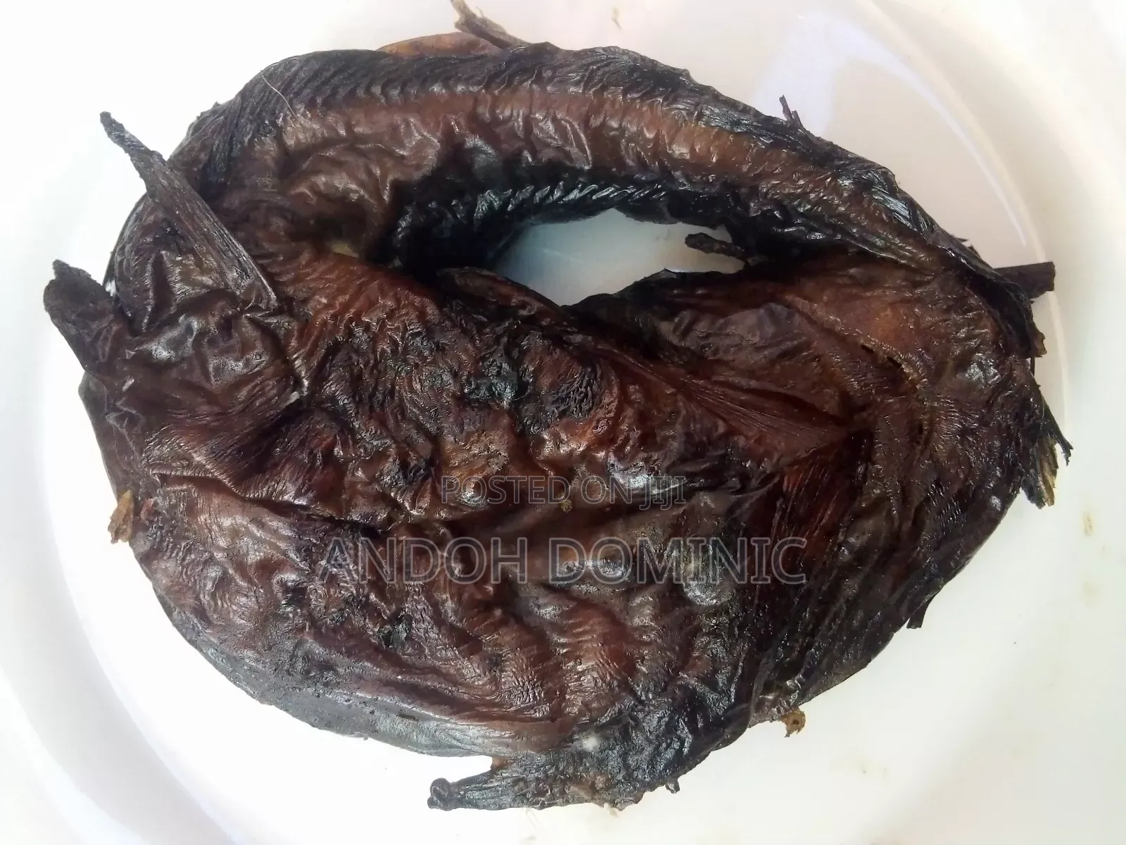 Live Catfish, Smoke Catfish in Accra Metropolitan - Food & Beverages ...