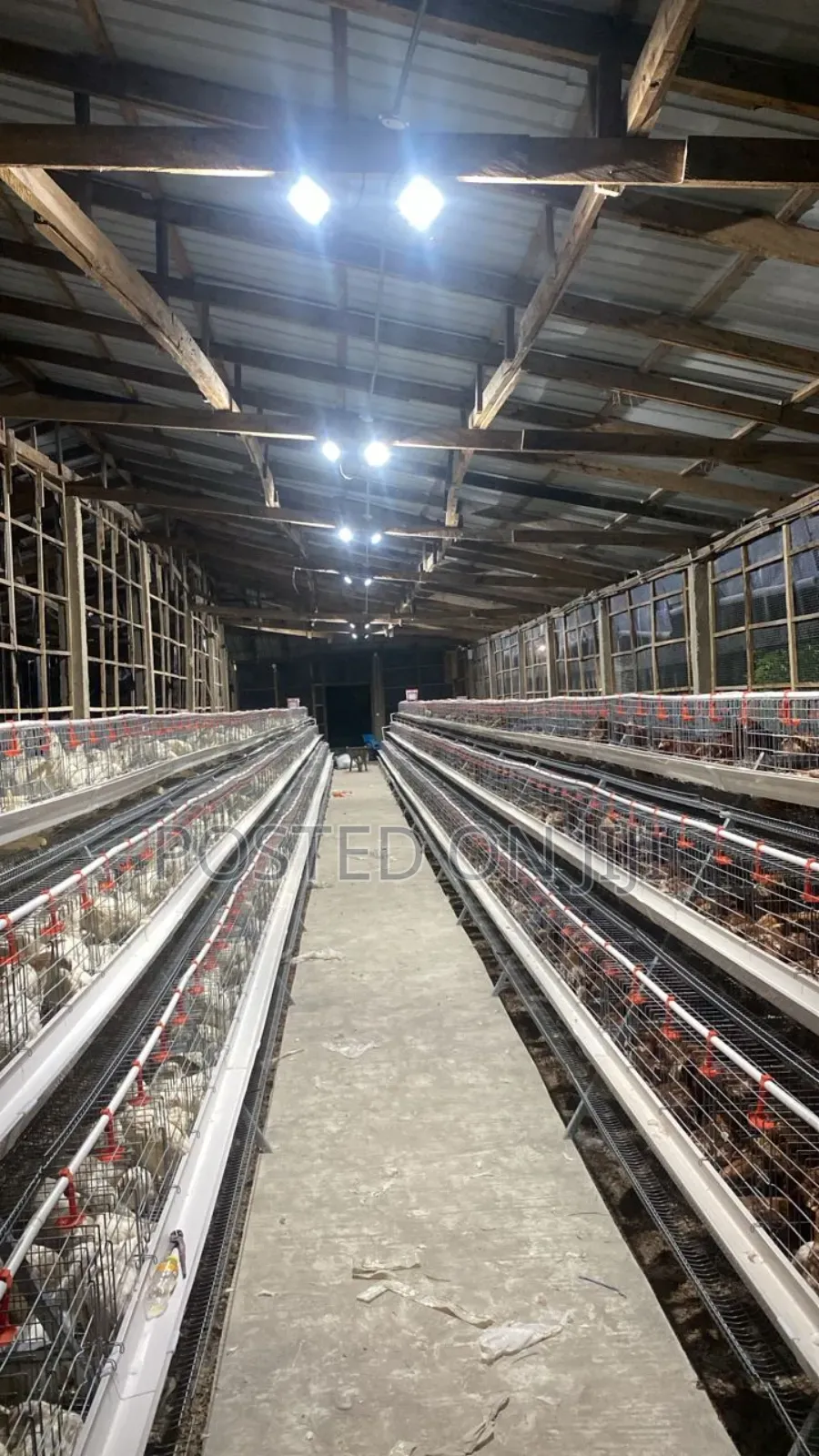Chicken Cage System in Kaneshie - Farm Machinery & Equipment, Bismark ...