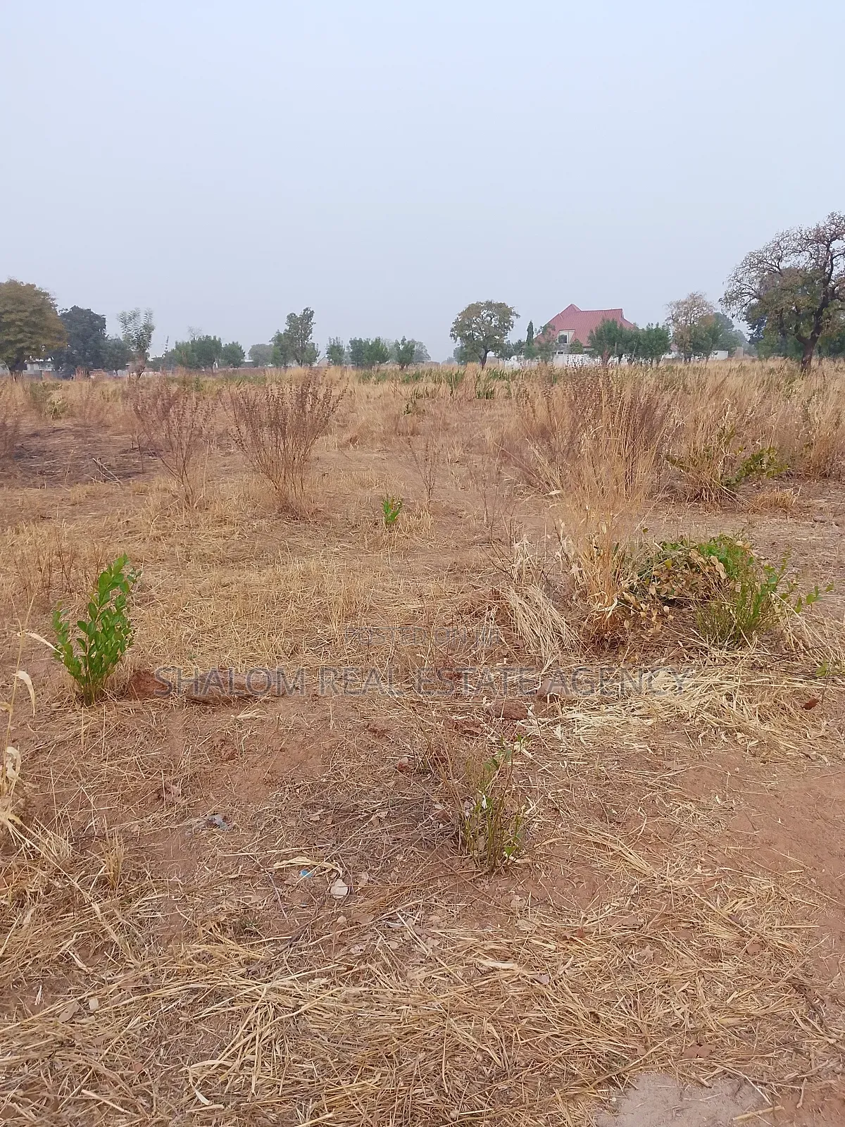 A Large Plot of Land at Yong Duuning for Sale in Tamale Municipal ...