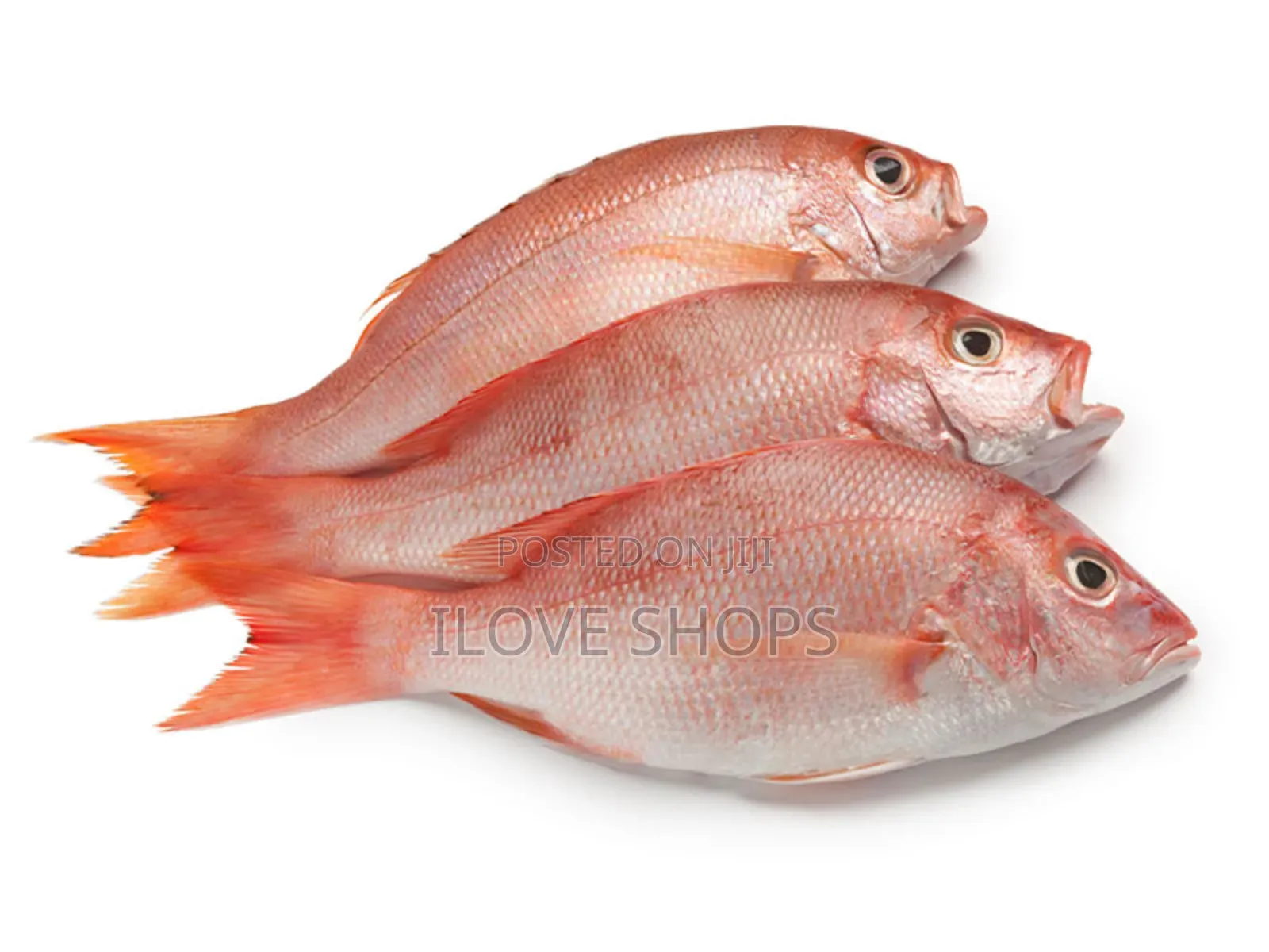 5pc Medium Sized Red Fish in Accra Metropolitan - Food & Beverages ...