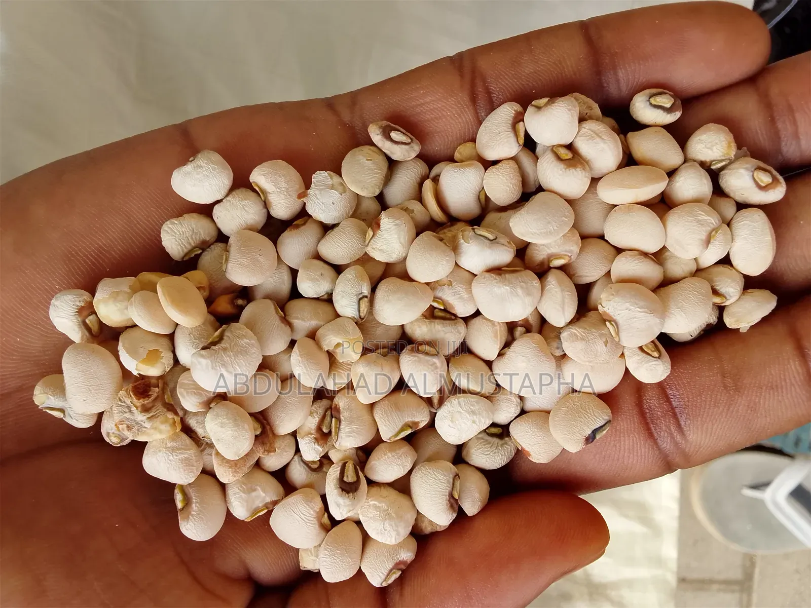 Quality Dry Beans for Sale (Wholesale Retail) in Accra Metropolitan ...