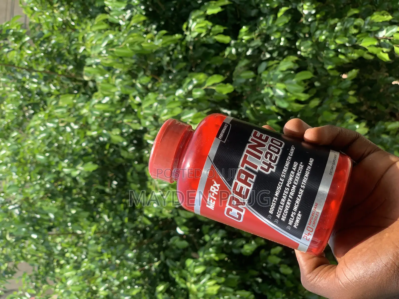 Creatine Monohydrate in Dome - Fitness & Personal Training Services ...