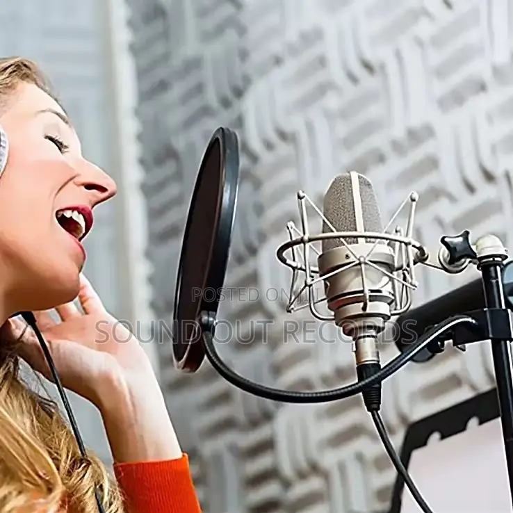 Double Layer Microphone Pop Filter/ Shield in Ablekuma - Accessories ...