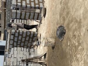 Good Mason Master in Tema Metropolitan - Building & Trade Services ...