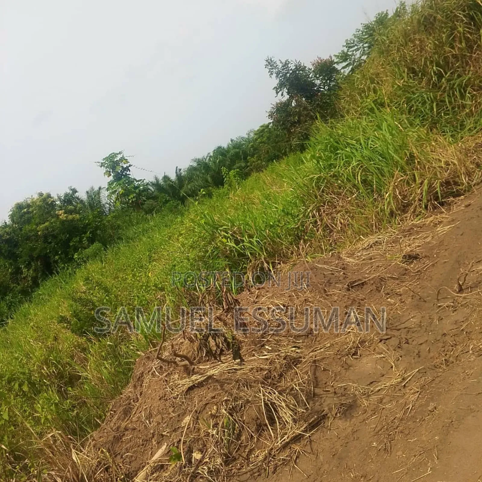 Land for Sale at Buduatta in Awutu Senya East Municipal - Land & Plots ...