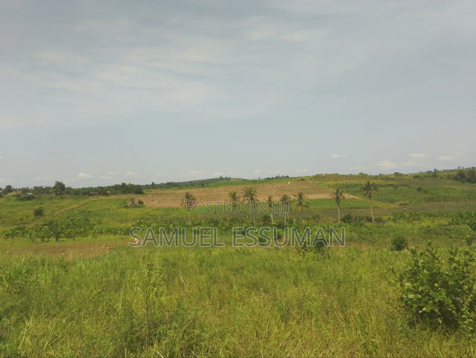 Land for Sale at Kweikrom in Awutu Senya West - Land & Plots for Sale ...