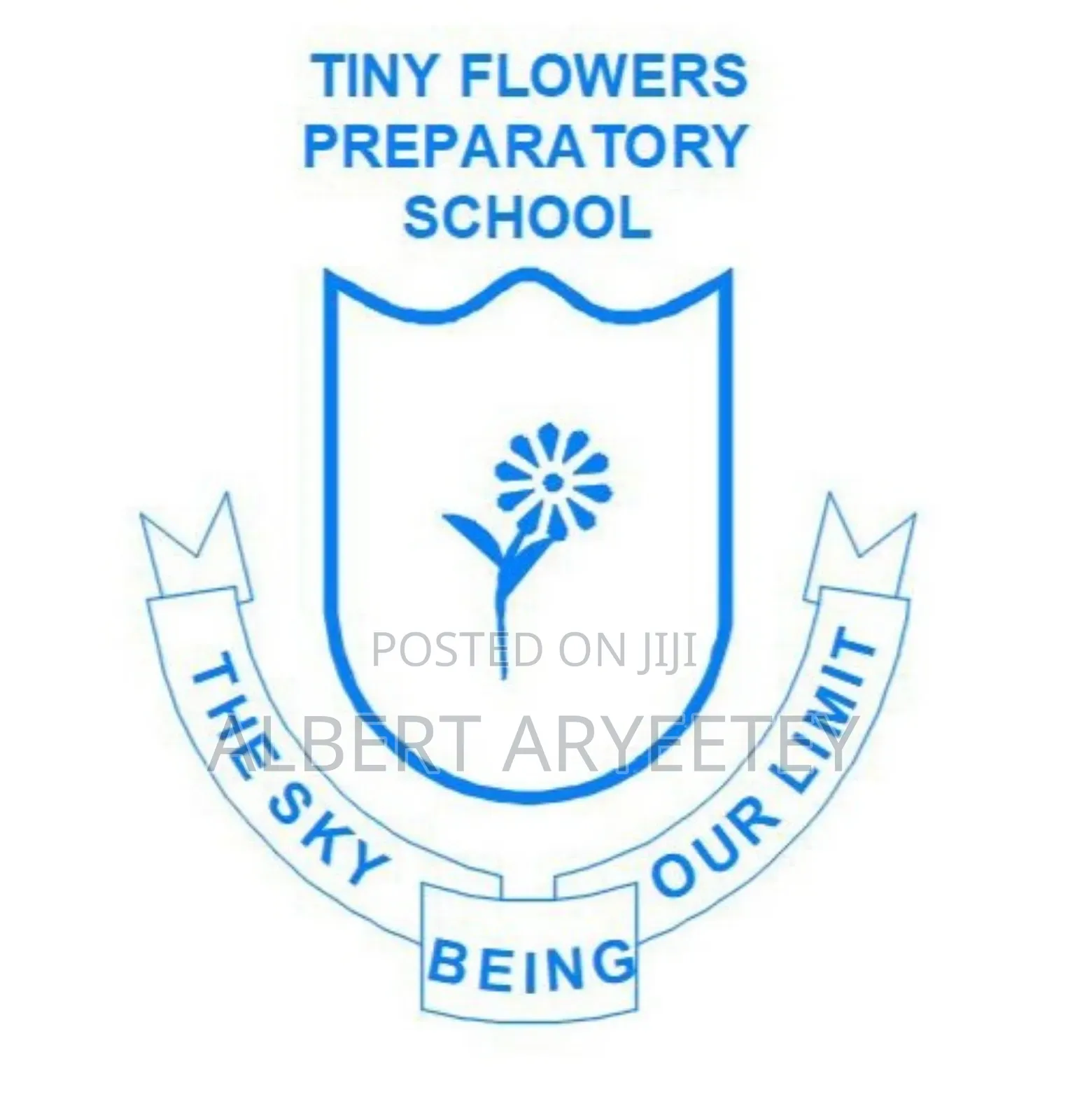 Computing (Ict) Teacher Needed in Osu - Teaching Jobs, Albert Aryeetey ...
