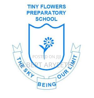 Computing (Ict) Teacher Needed in Osu - Teaching Jobs, Albert Aryeetey ...