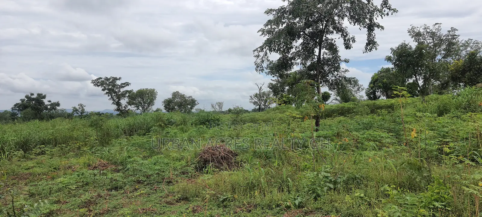 Western Region, Beposo (Atwerboanda) _ 20+ Acres Farmland in Shama ...