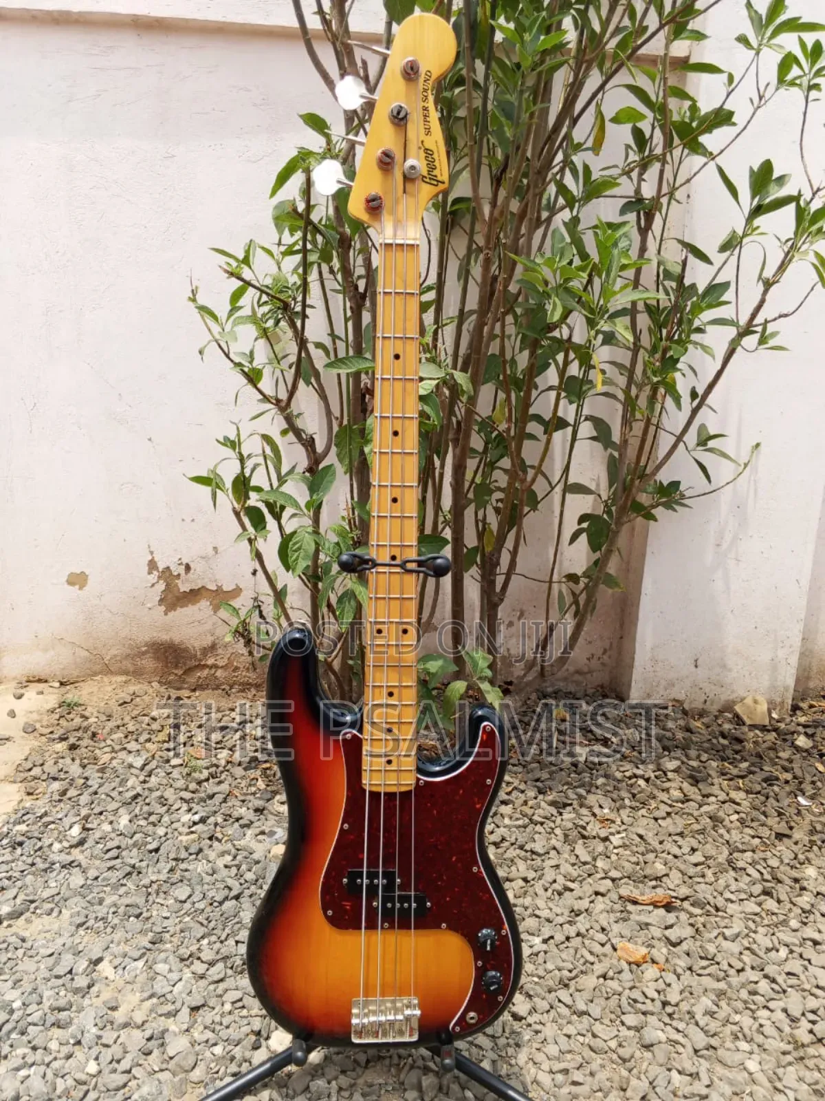 Greco Pb600 Bass Guitar With Fender Rumbles 15 Bass Combo in Tema ...