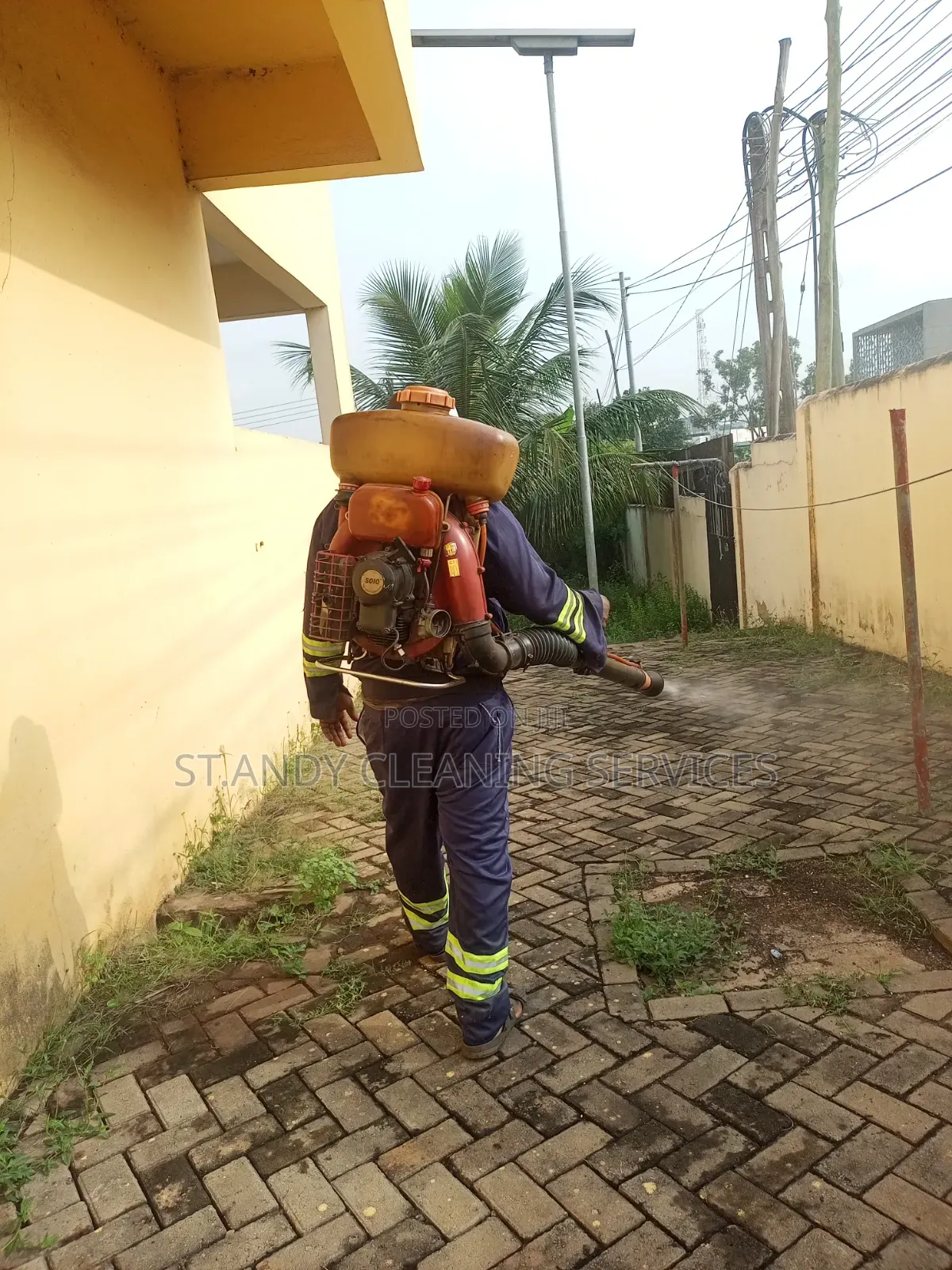 All Fumigation Pest Control Services for sale - St.Andy Cleaning ...