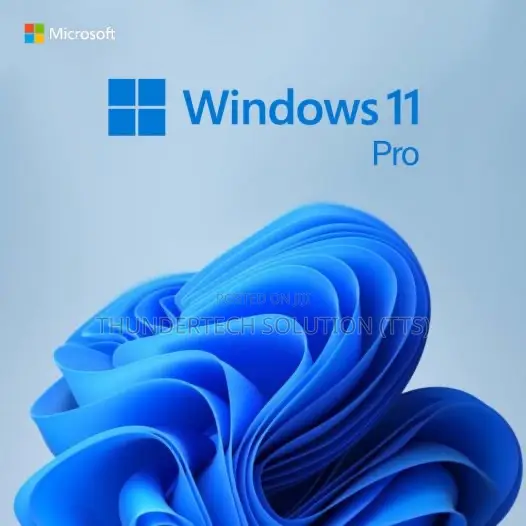 Windows Installation (From Windows 7-11) for sale - ThunderTech ...