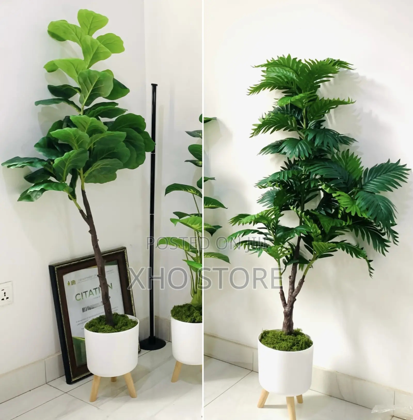 Artificial Plant Areca Palm, Dumb Cane, Fiddle Leaf, Potted Plants ...