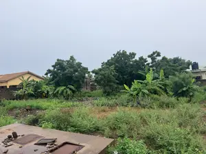 50 by 100 Size of Land for Sale at Teshie Bushroad Very Nice Location ...