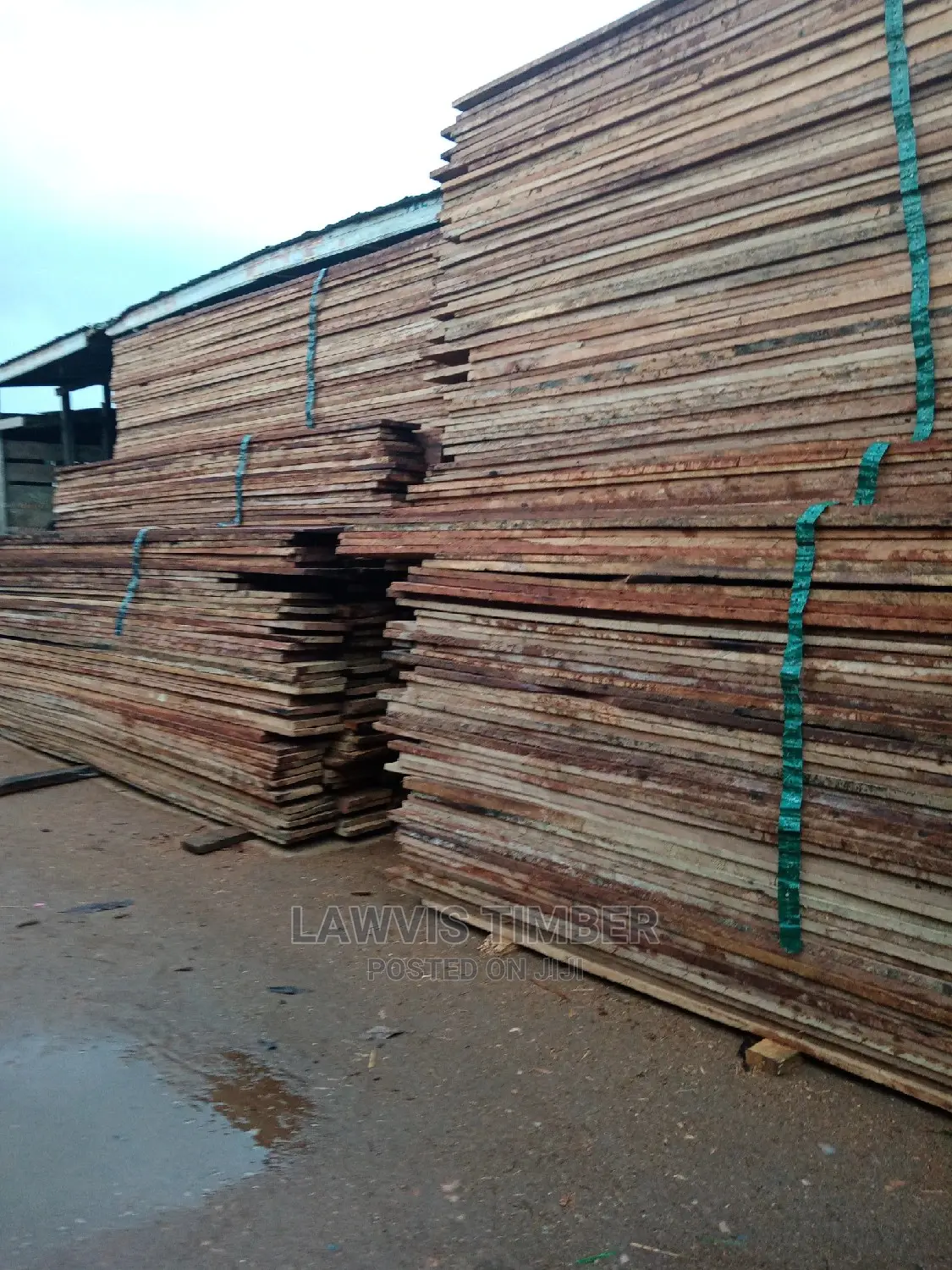 Ceiba Board ( Bush Cut) in Awutu Senya East Municipal - Building ...